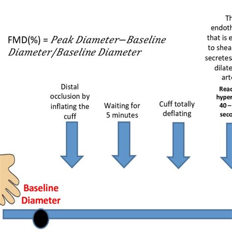 Flow Mediated Dilation Fmd Nonitric Oxide Download Scientific