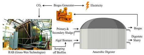 Modeling The Production Of Microalgal Biomass In Large Water Resource Recovery Facilities And