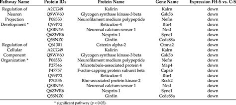 Proteins From The Neuronal Network Modulated By The Interaction Stress
