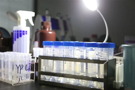 Western Blot Elisa Subtrate Luminol Ecl Luminescence Reagent Hrp