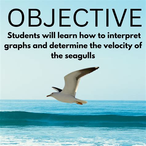 Physics Biology Math Graphing A Seagull Classful