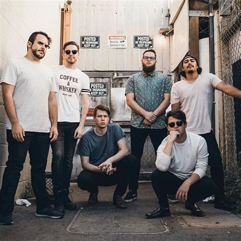 Wolf And Bear Lyrics Songs And Albums Genius