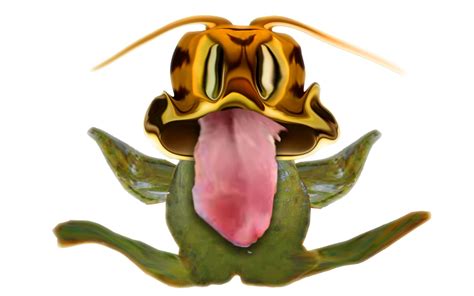 丛 林 土 鳖 仙 人（微阴间） 皮陌涩拉 皮陌涩拉 哔哩哔哩视频