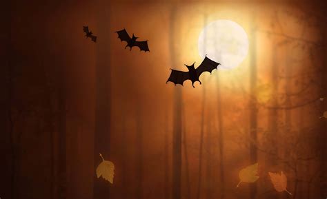 Download Free Bat Flying At Night Forest Wallpaper