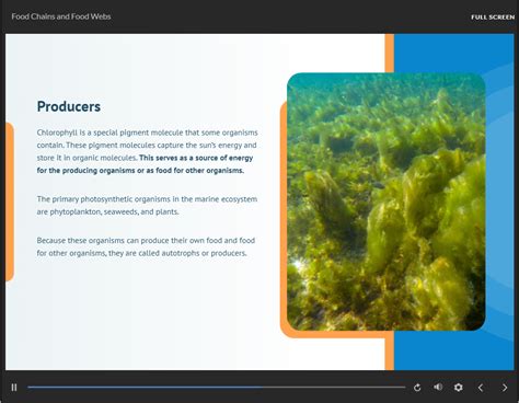 Marine Biology Course Get Free Cpd Certificate And Upto 60 Off