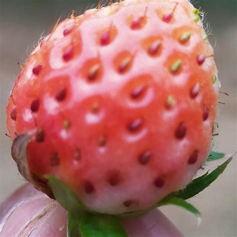 Mohna Mohna369317652 Twitter