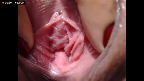 Close Up Honeypot Open Up On Webcam