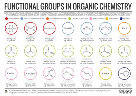 Functional Groups Chart