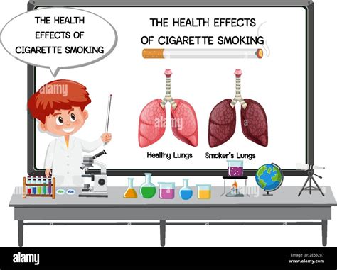 Poster On Health Effects Of Cigarette Smoking Illustration Stock Vector