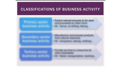 Solution Classification Of Business Activity Studypool