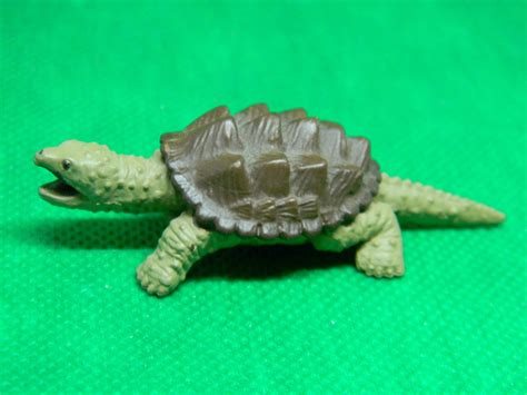 Models Turtles Jurassic James