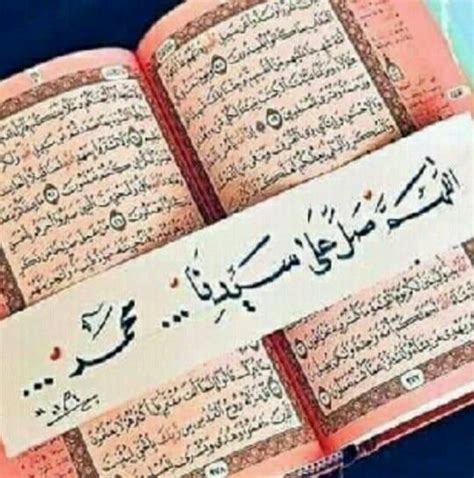 أنا ولد سنجاب