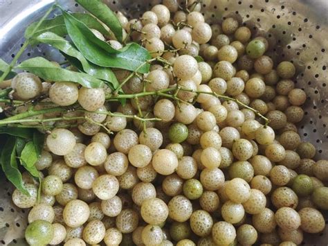 【山黄皮（鸡皮果）的贮存的做法步骤图】谦娘下厨房