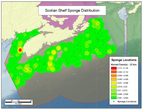Interpolated Density Distribution Kg Km 2 Of Sponges From The