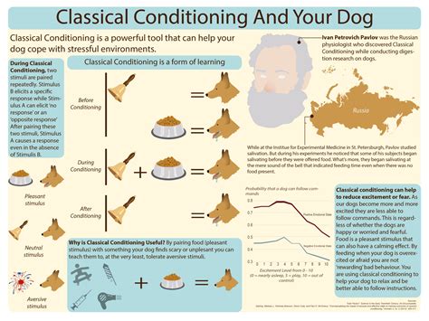 Classical Conditioning Examples Animals At Jeanne Tookes Blog