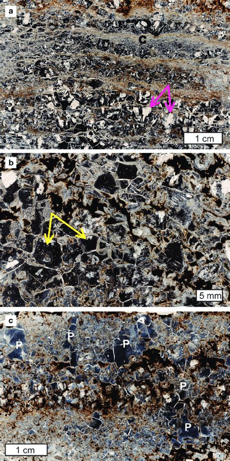 Thin Section Photomicrographs Of Halite Core Sg 1 Qaidam Basin A