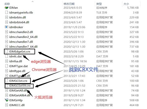 IDM正版的安装与激活 使用教程 edge浏览器下载绿色可更新本教程适合纯小白 哔哩哔哩