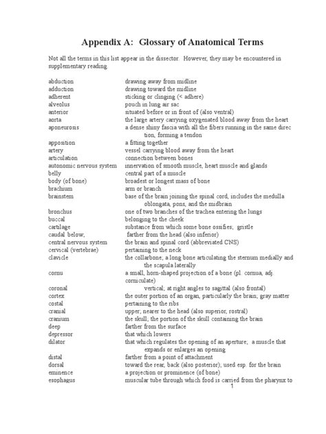 Appendix A Glossary Of Anatomical Terms Pdf Neck Anatomical