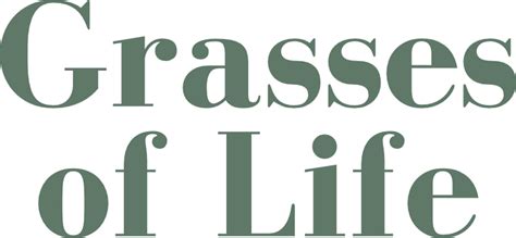 Is Organic Castor Oil A Natural Remedy For Inflamed Joints Arthritis