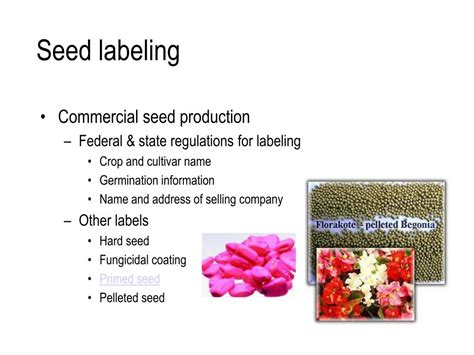 Ppt Sexual Propagation Powerpoint Presentation Free Download Id