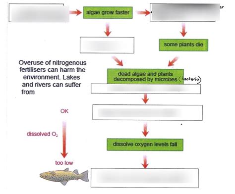 Book 91 Eutrophication Diagram Quizlet