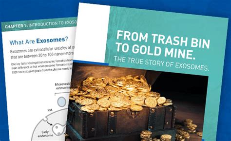 Exoquick Ultra Ev Isolation Kit System Biosciences System Biosciences