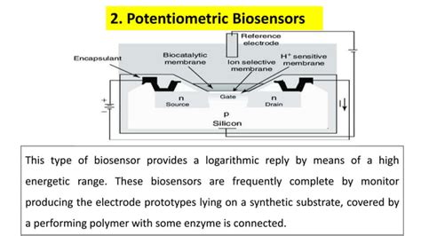 Biosensors Ppt Chemistry Science