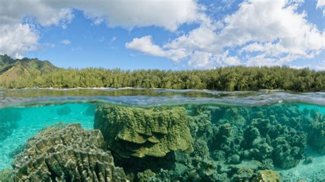 How Chief Sustainability Officers Can Effectively Measure And Track