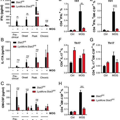 Stat3 Is Activated In Infiltrating Myeloid Cells During The Peak Of