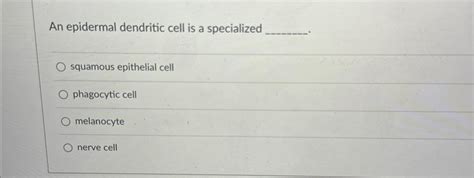 Solved An Epidermal Dendritic Cell Is A Specialized