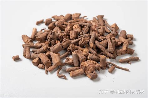 血好身体好，名医陈士铎的补血方，只6味药，让你气血充盈显年轻 知乎