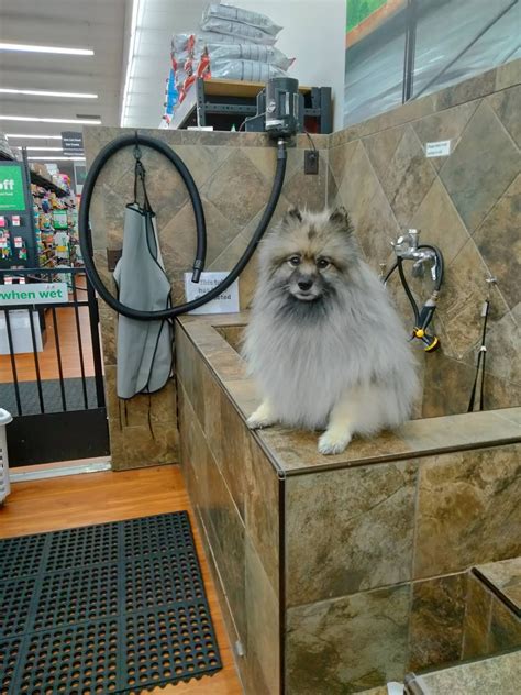 Spring Getting A Bath Otchpa