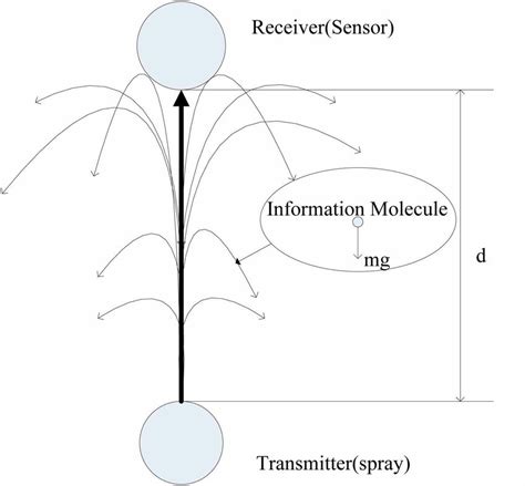 The Sketch Model Of Molecular Communication Download Scientific Diagram