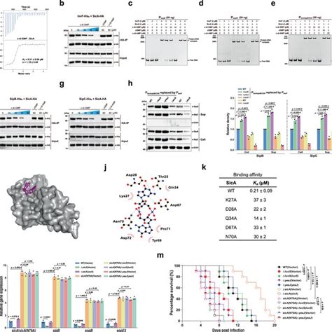 Bile Components Taurocholate And Taurodeoxycholate Repress The
