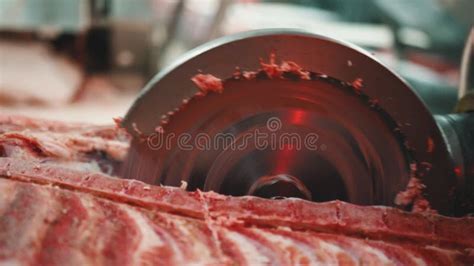 Meat Processing Plant Cutting Pork Carcasses Meat Production Saw For Meat Stock Footage