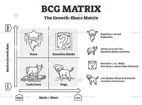 Bcg Matrix Outline Vector Illustration Icons Diagram Matrix Growth