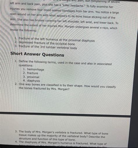 3 The Body Of Mrs Morgans Vertebra Is