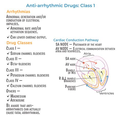 Medical Phamacology Lecture And Text Antiarrhythmic Drugs