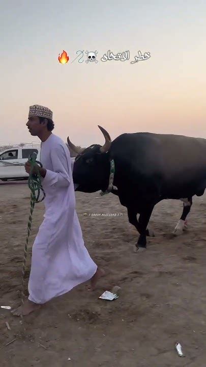 ونان💉الاتحاد ☝️ Youtube