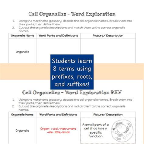 Cell Organelles Introduction Word Exploration Strengthen Biology