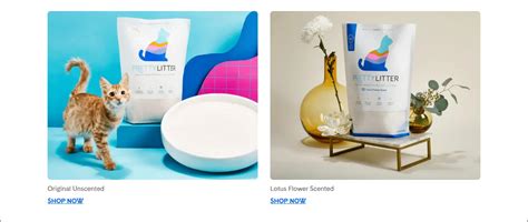 Pretty Litter Reviews 2023 Is It Worth Buying Find Out