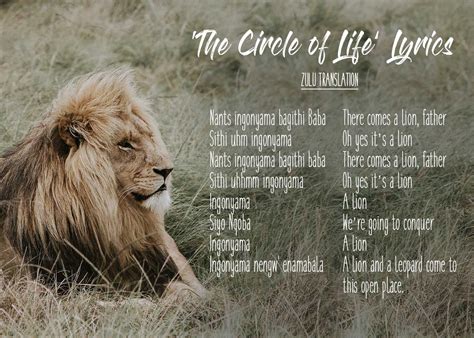 20 Beautiful African Words In The Lion King Thatll Make You Smile