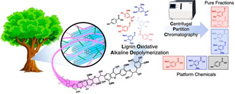 From Lignin To Valuable Aromatic Chemicals Lignin Depolymerization And