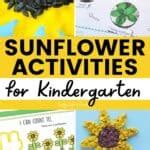 Sunflower Activities For Kindergarten