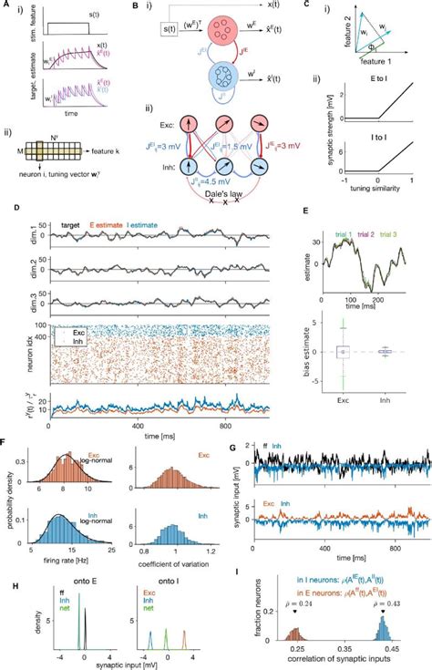 Efficient Coding In Biophysically Realistic Excitatory Inhibitory Spiking Networks Veronika Koren