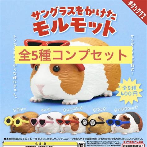 サングラスをかけたモルモット ガチャ 全5種コンプセット メルカリ