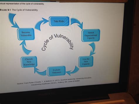 Characteristics Of The Cycle Of Vulnerability