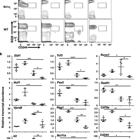 Pre B Lymphomaleukemia Is Characterized By Loss Of Lineage Commitment