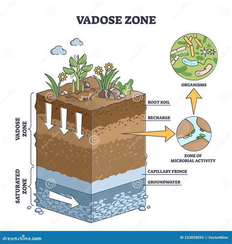 Subsurface Structure Stock Illustrations 48 Subsurface Structure