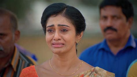 Watch Anna Tv Serial Spoiler Of 14th February 2024 Online On Zee5